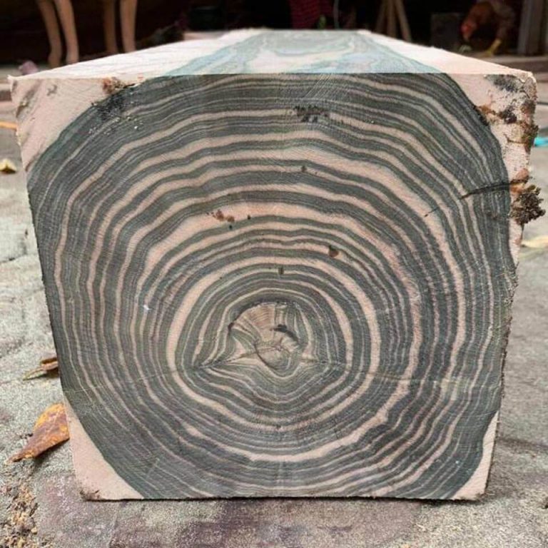 Tìm Hiểu Về Gỗ Mun: Đặc Điểm, Loại Và Ứng Dụng - 3A Design